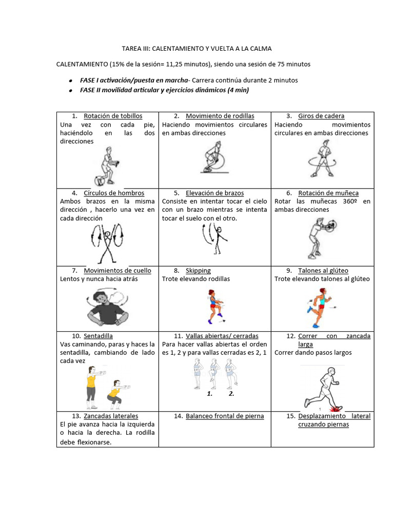 Tarea Iii Calentamiento y Vuelta A La Calma | PDF | Sistema musculoesquelético | Anatomía humana