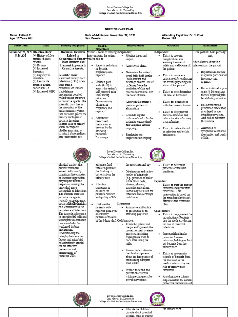 Nursing Care Plan Template | PDF | Urinary Tract Infection | Health Care