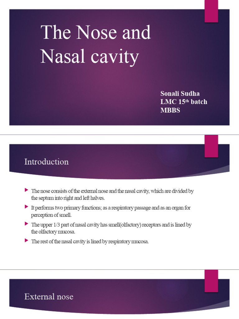 Nose and Nasal Cavity - 1 | PDF | Human Nose | Skeletal System
