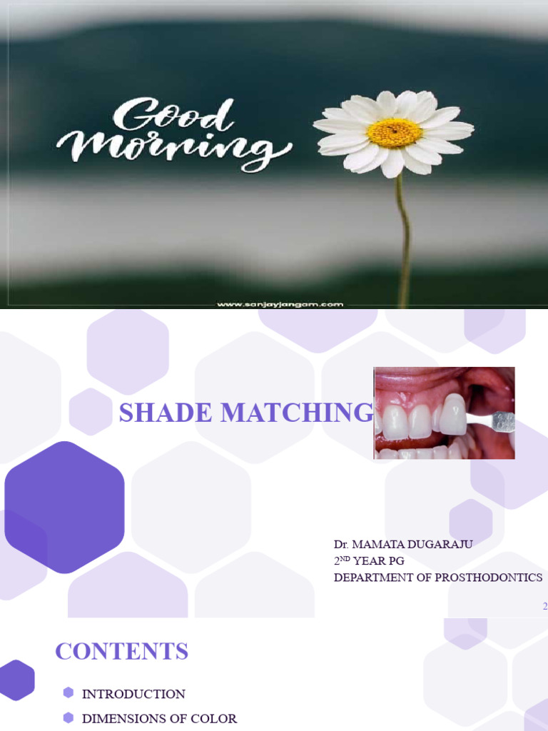 Shade Selection | PDF | Color | Light