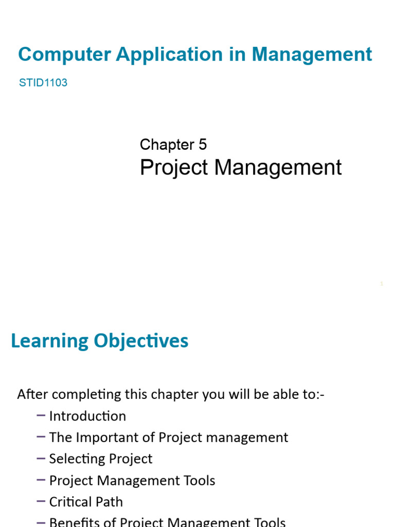 Chapter 5 - Project Management | PDF | Project Management | Computing