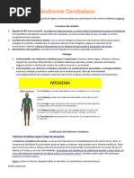 Síndromes Cerebelosos: Vermiano y Hemisferios | PDF | Cerebelo ...