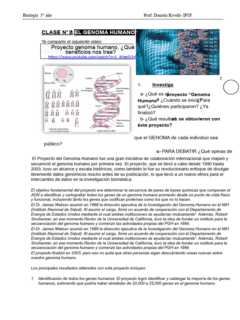 Clase 12. Genoma Humano | PDF | Genoma | Genoma humano