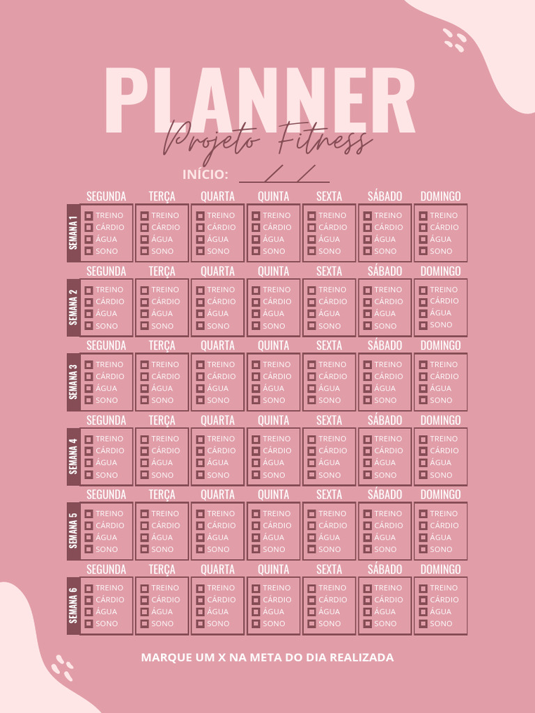 Planner Projeto Fitness Rosa Com Metas | PDF