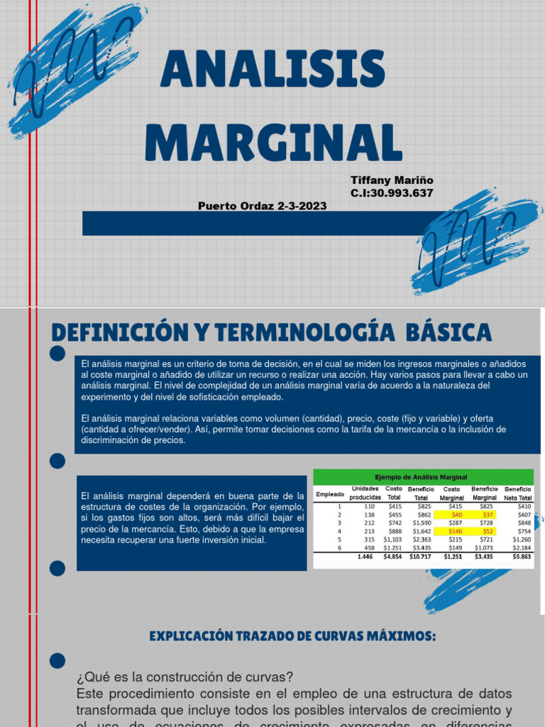 Tarea 17 Analisis Marginal | Descargar gratis PDF | Precios | Derivado
