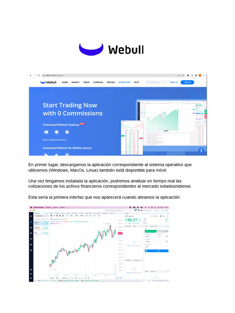 Guía de uso de Webull para principiantes | PDF