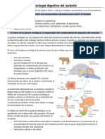 4 13-04, Resumen Ficha, ANATOMIA Y FISIOLOGIA DEL APARATO DIGESTIVO DEL ...