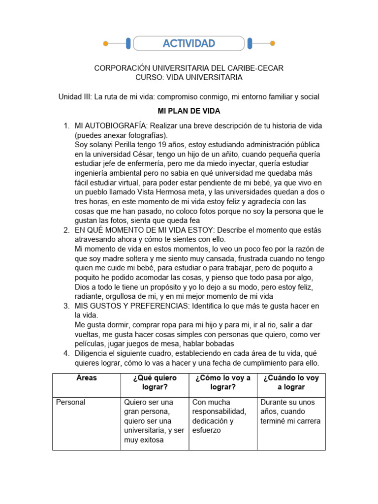 Formato Mi Plan de Vida | PDF