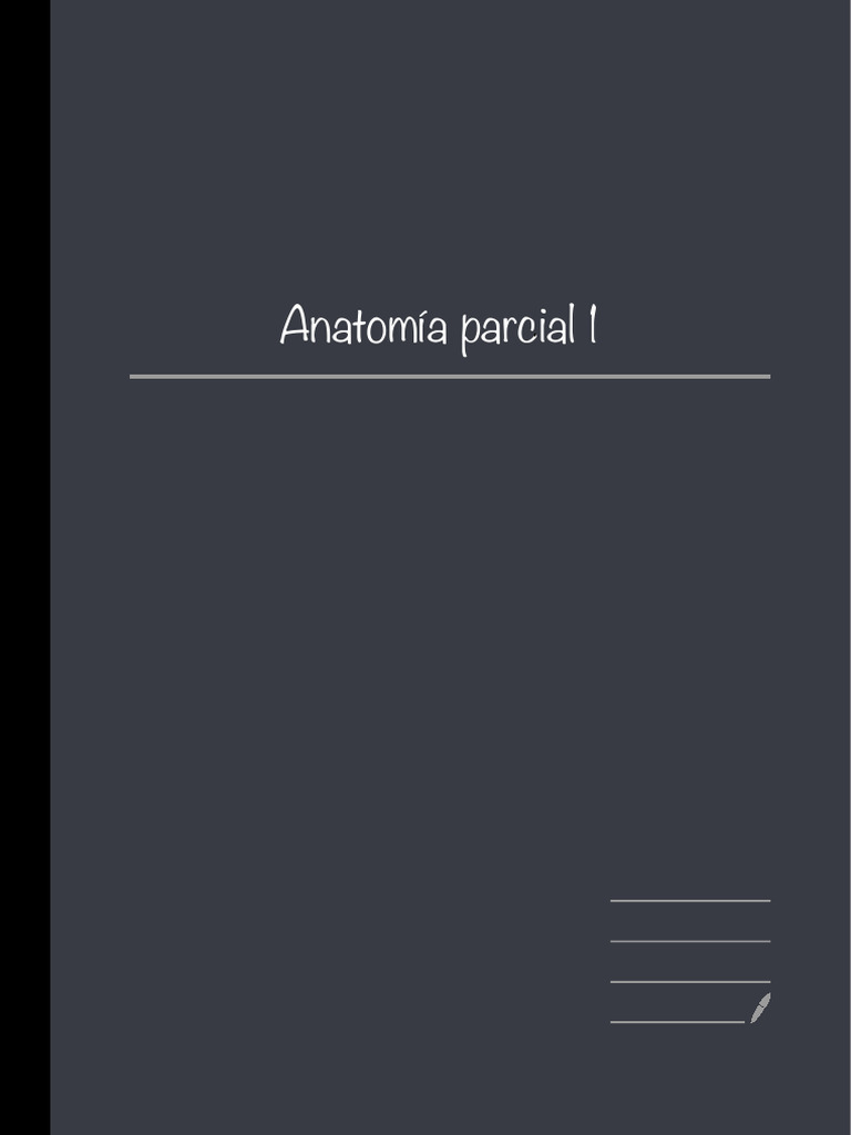 Anatomía Parcial 1 | PDF | Tiroides | Laringe