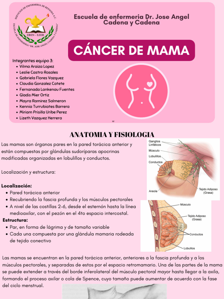 Cancer de Mama | PDF | Cáncer de mama | Pecho