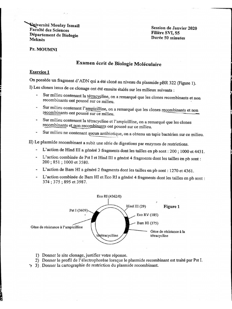 Examen Bio - Mol | PDF