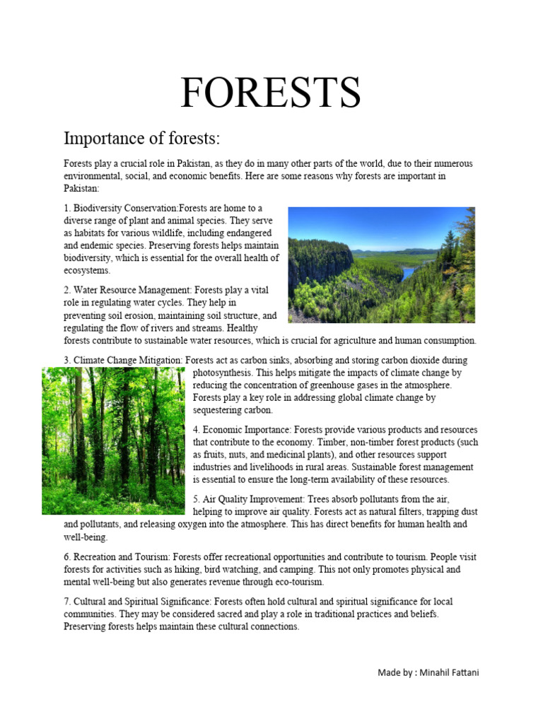 FORESTS | PDF | Deforestation | Forests