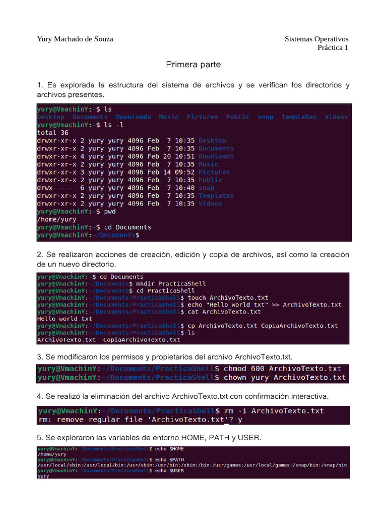 Práctica 1: Gestión de Archivos y Scripts | PDF | Arte | Informática