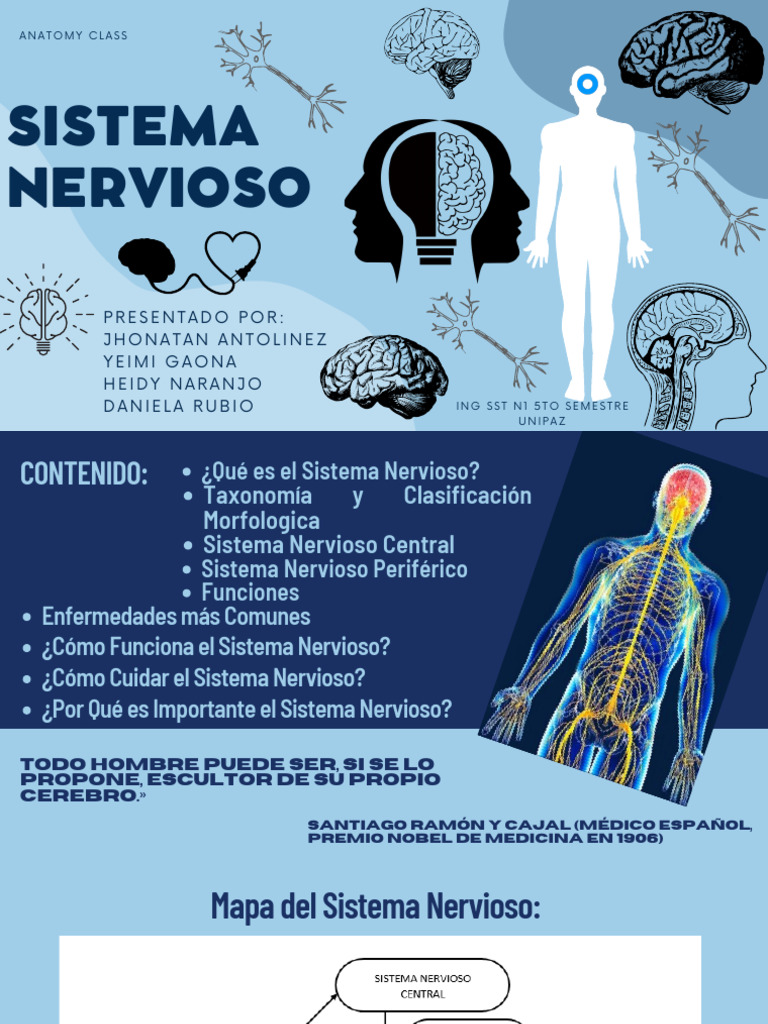 Presentación Del SISTEMA NERVIOSO | PDF | Sistema nervioso | Sistema nervioso central