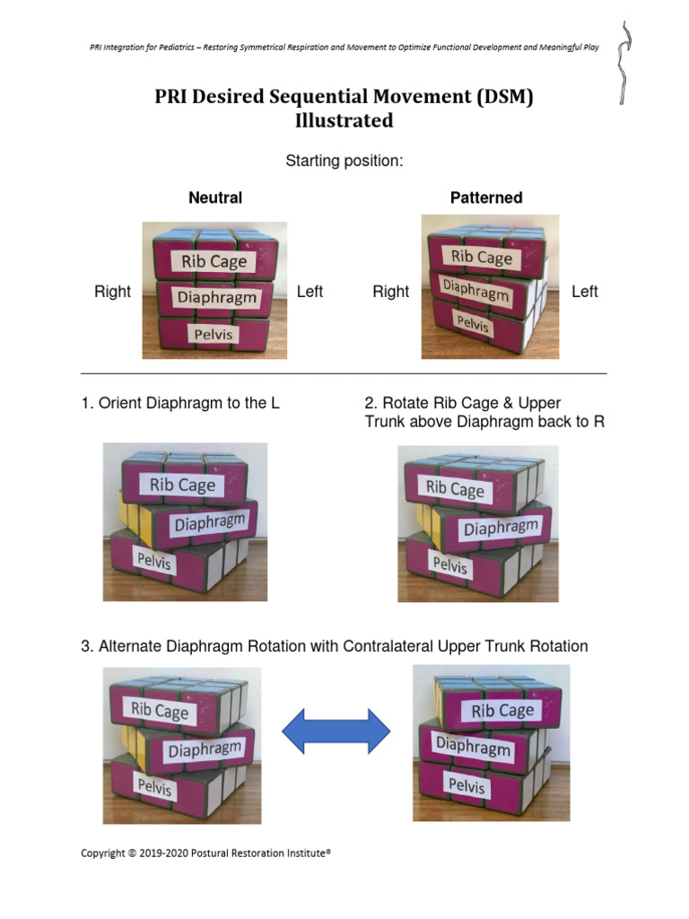 Handout 4 - PRI Peds Rubix Cube | PDF | Pelvis | Anatomy