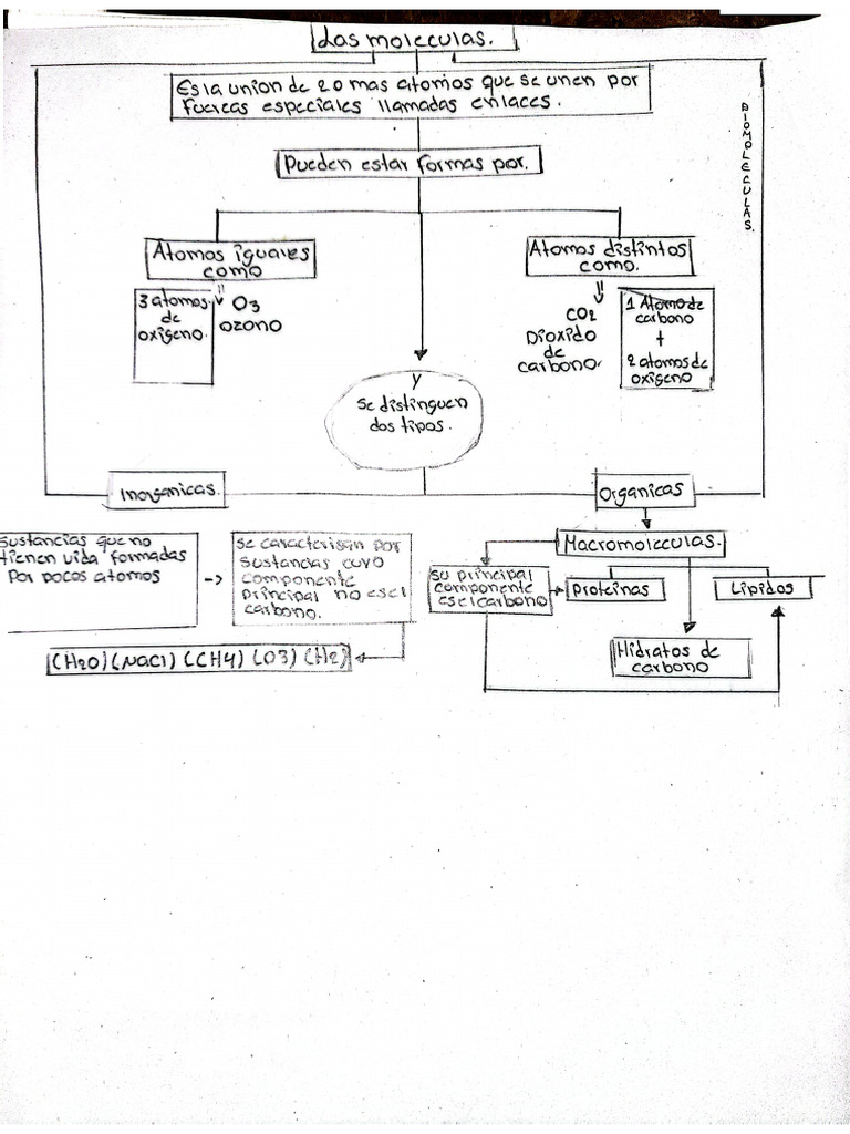 Victor Alexis Nava Orduño - 100D | PDF