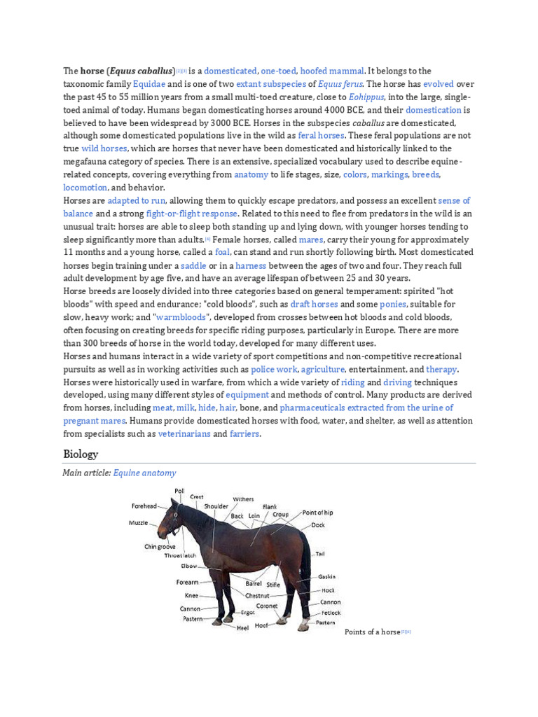Document 2 | PDF | Horses | Equus (Genus)