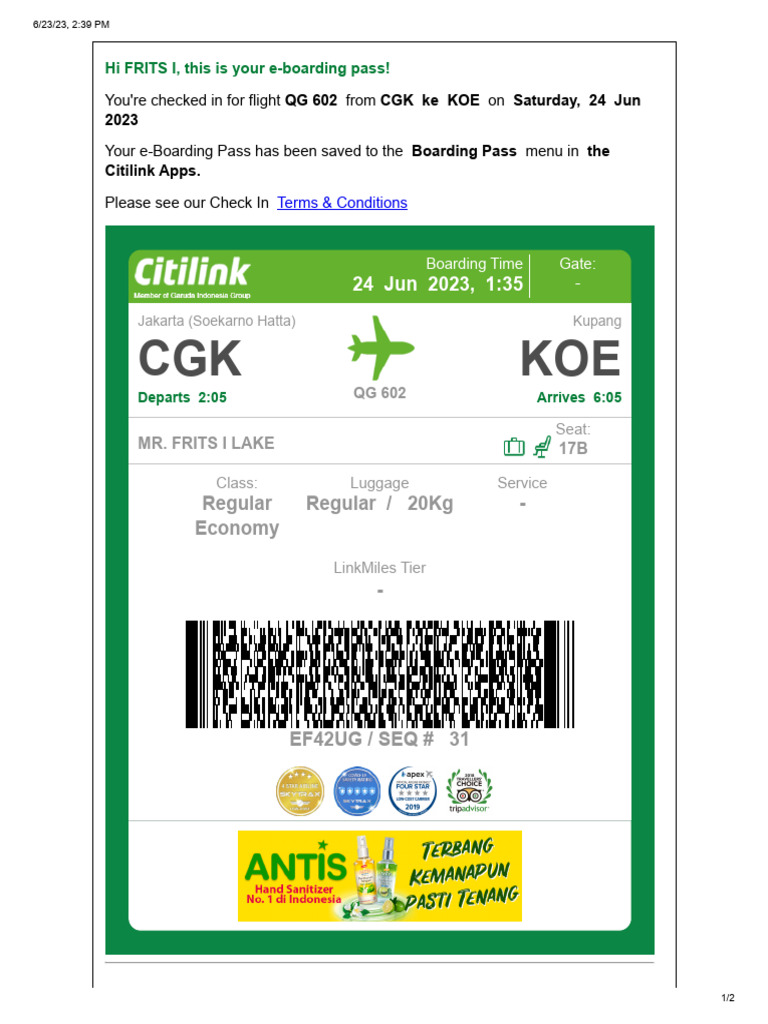 Boarding Citilink | PDF