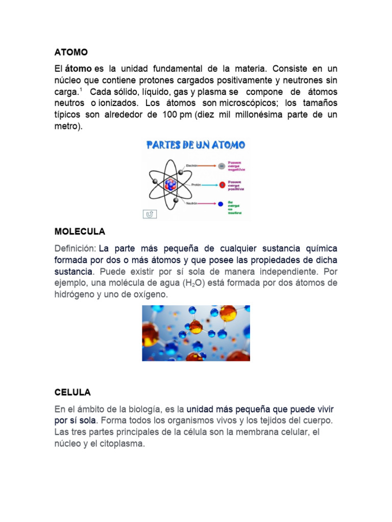 Atomo Pdf Organismos Entorno Natural