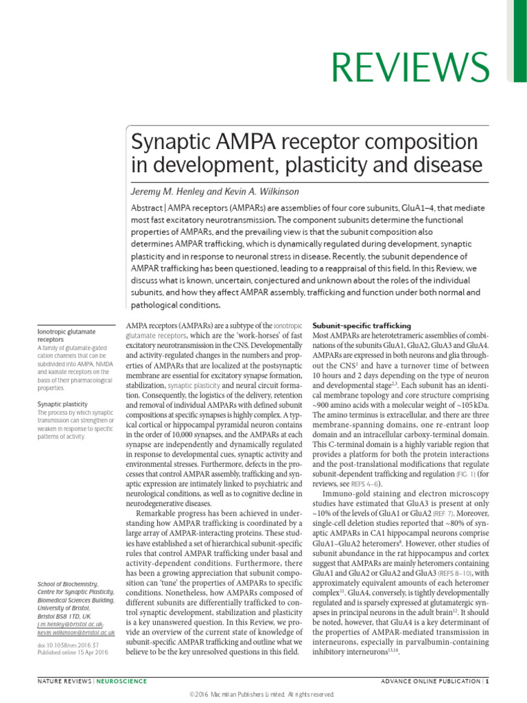 Henley 2016 Synaptic AMPA Receptor Composition in Development, Plasticity Nature Review | PDF ...