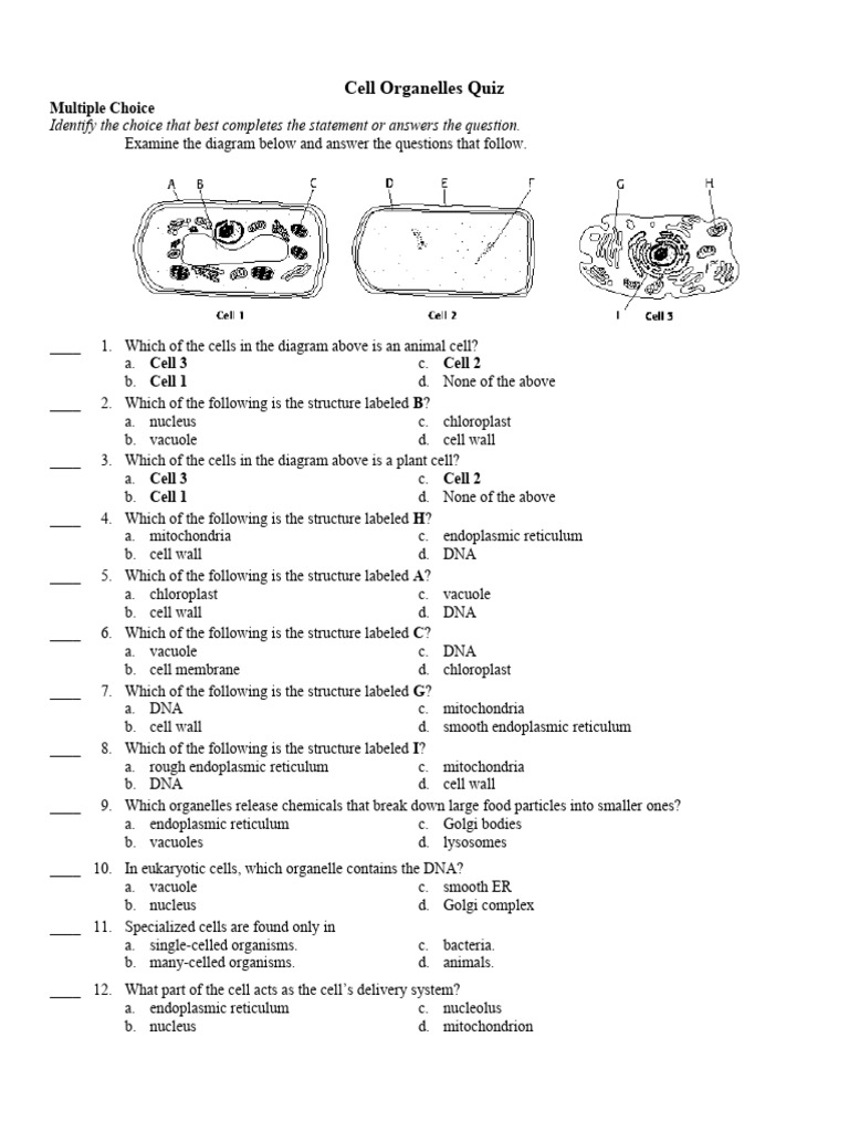 Cell Organelles Quiz 2 | Download Free PDF | Cell (Biology ...
