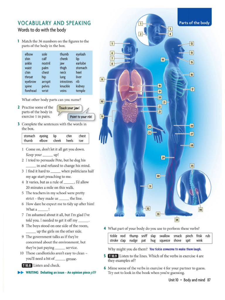 Words To Do With The Body | PDF