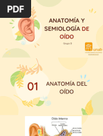 Otoscopia Normal | PDF | Oído | Anatomía