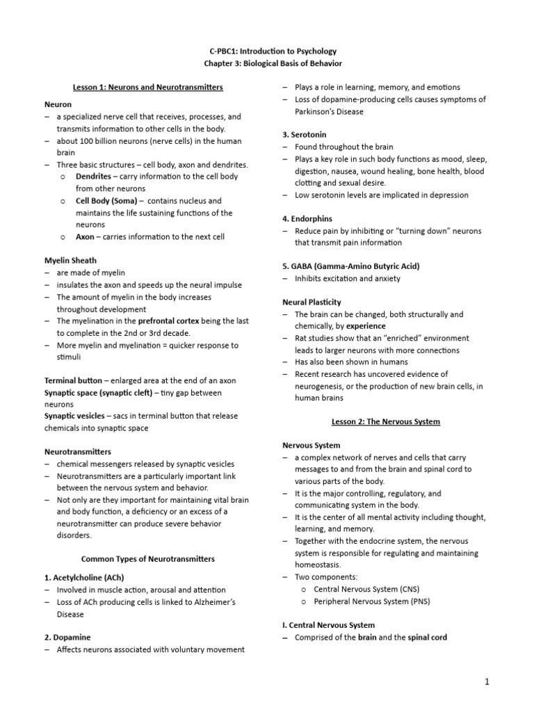 Chapter 2 Biological Basis of Behavior | PDF | Central Nervous System ...