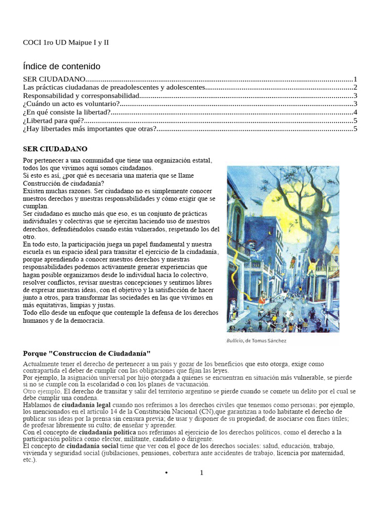 COCI Diagnostico - 230313 212110 | PDF | Ciudadanía | Derechos