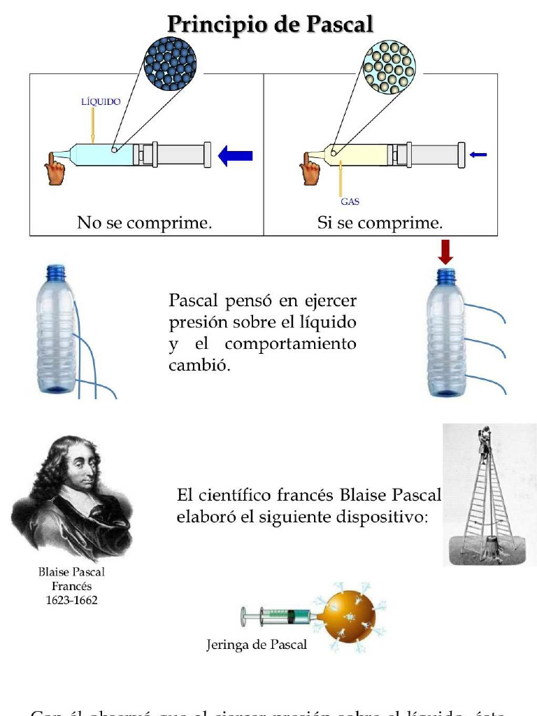 Ejercicios Pascal | PDF
