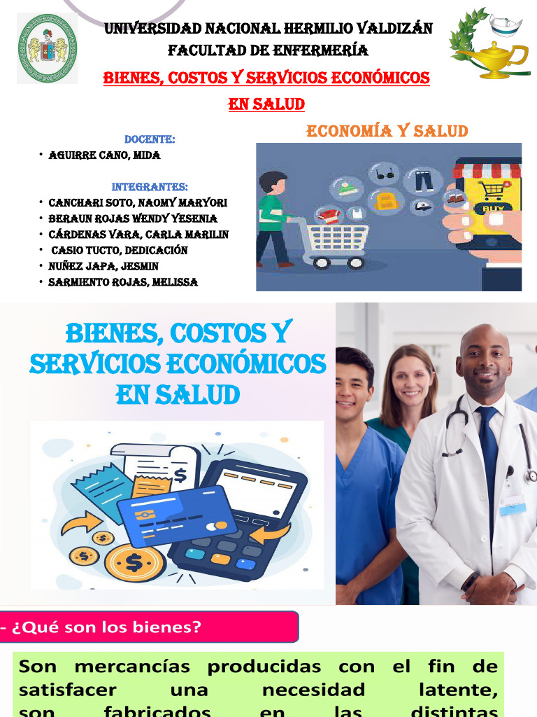 Bienes-Costos-y-Servicios-Economicos-en-Salud Final | PDF | Bienes | Medicina