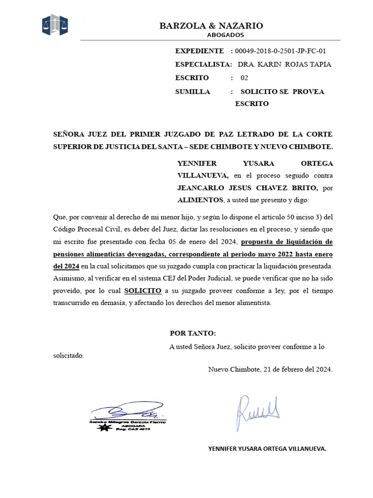 Solicito Se Provea Escrito | PDF | Derecho