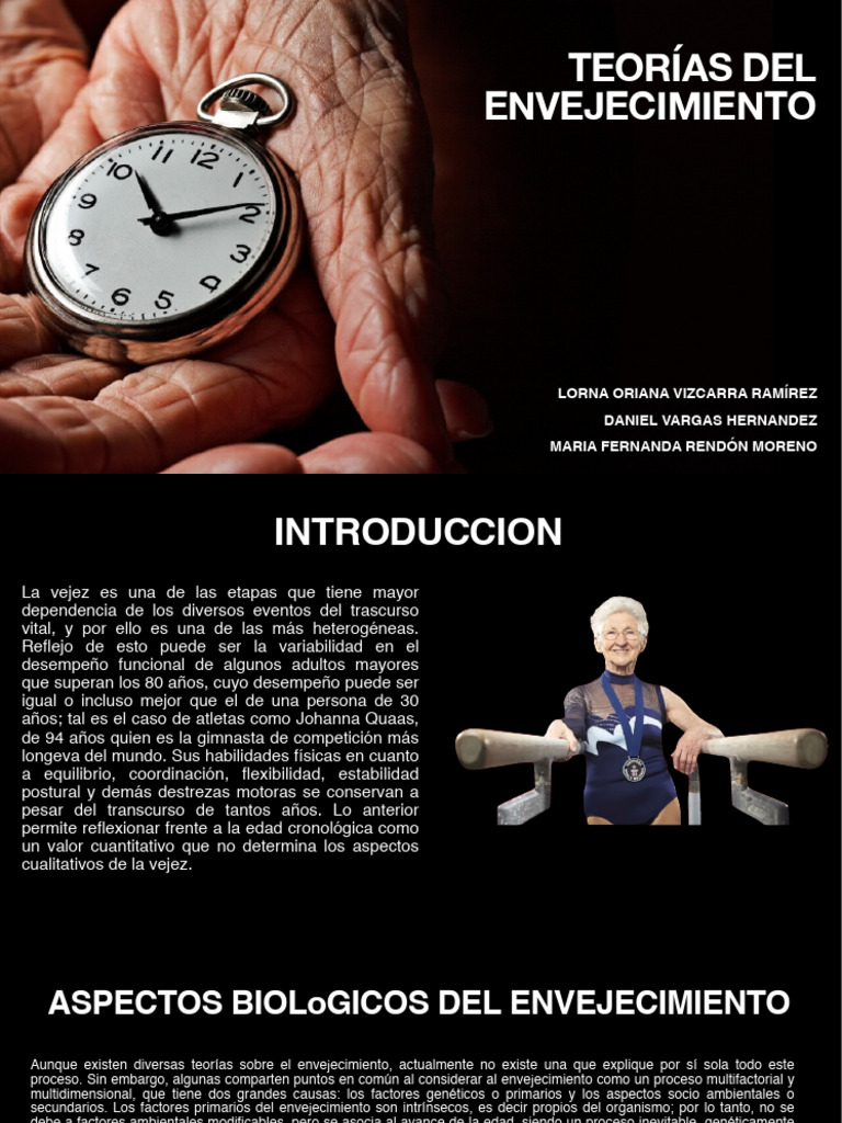 Equipo 2 | PDF | Envejecimiento | Sistema inmune