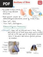 Sinuses Positioning Chart | PDF | Skull | Human Nose