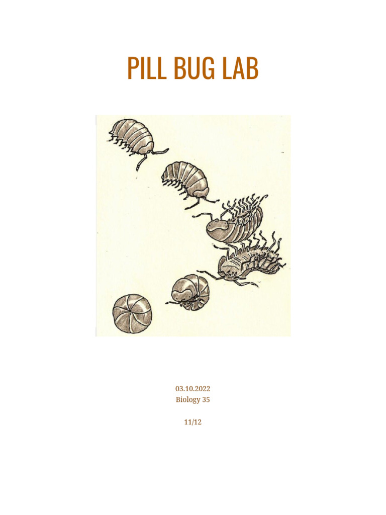 Pill Bug Lab - M | PDF | Soil | Thermoregulation