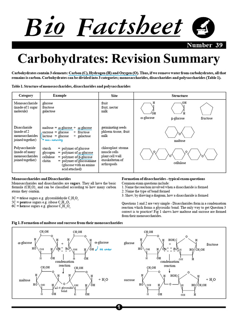 Bio Factsheet | PDF | Carbohydrates | Polysaccharide