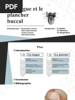 Anatomie et Fonction de la Langue | PDF | Langue | Anatomie humaine