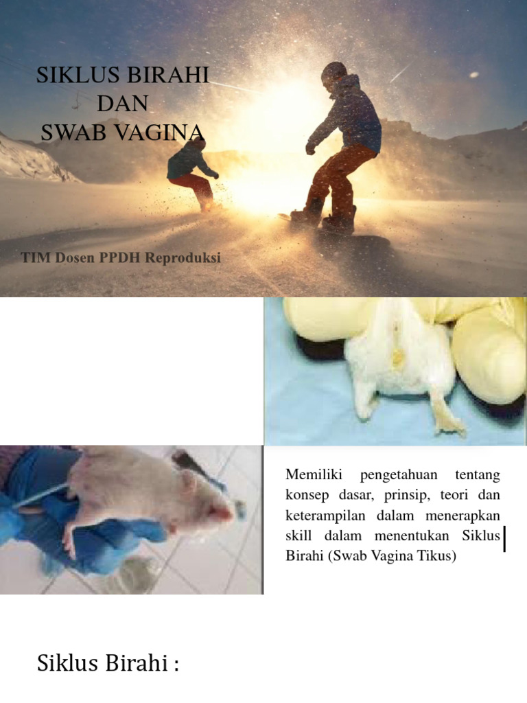 Swab Vagina pada Siklus Birahi Tikus | PDF
