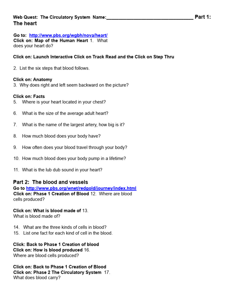 Heart WebQuest | PDF | Heart | Blood Vessel