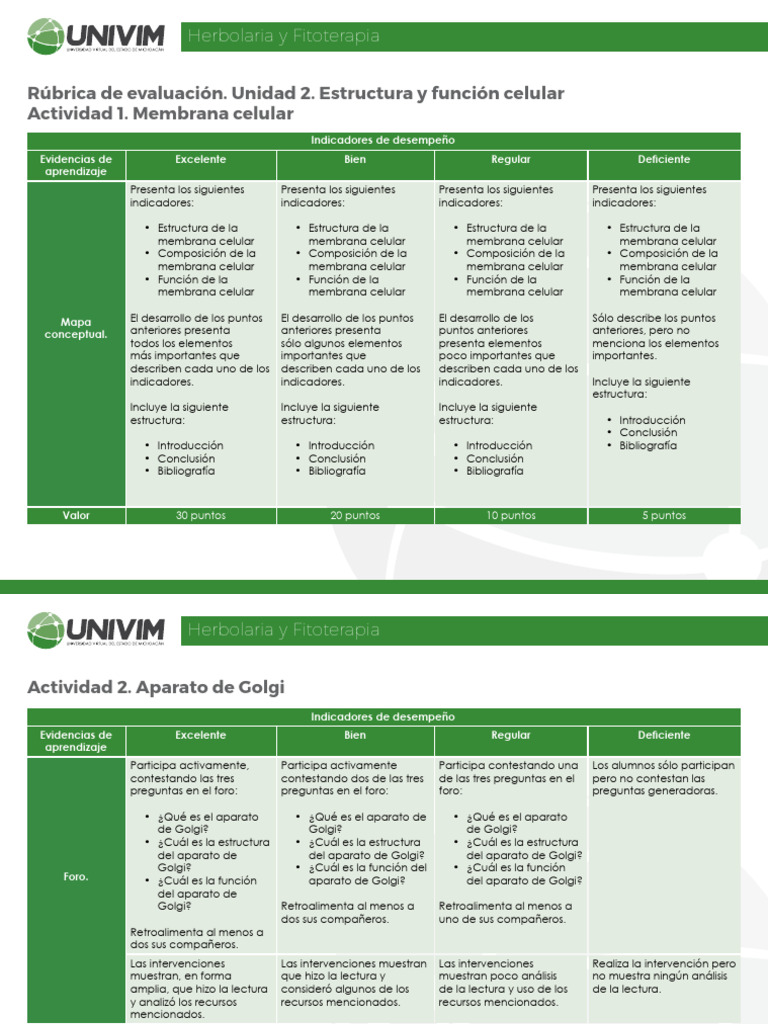 Rúbrica Evaluación U2 | PDF | Evaluación