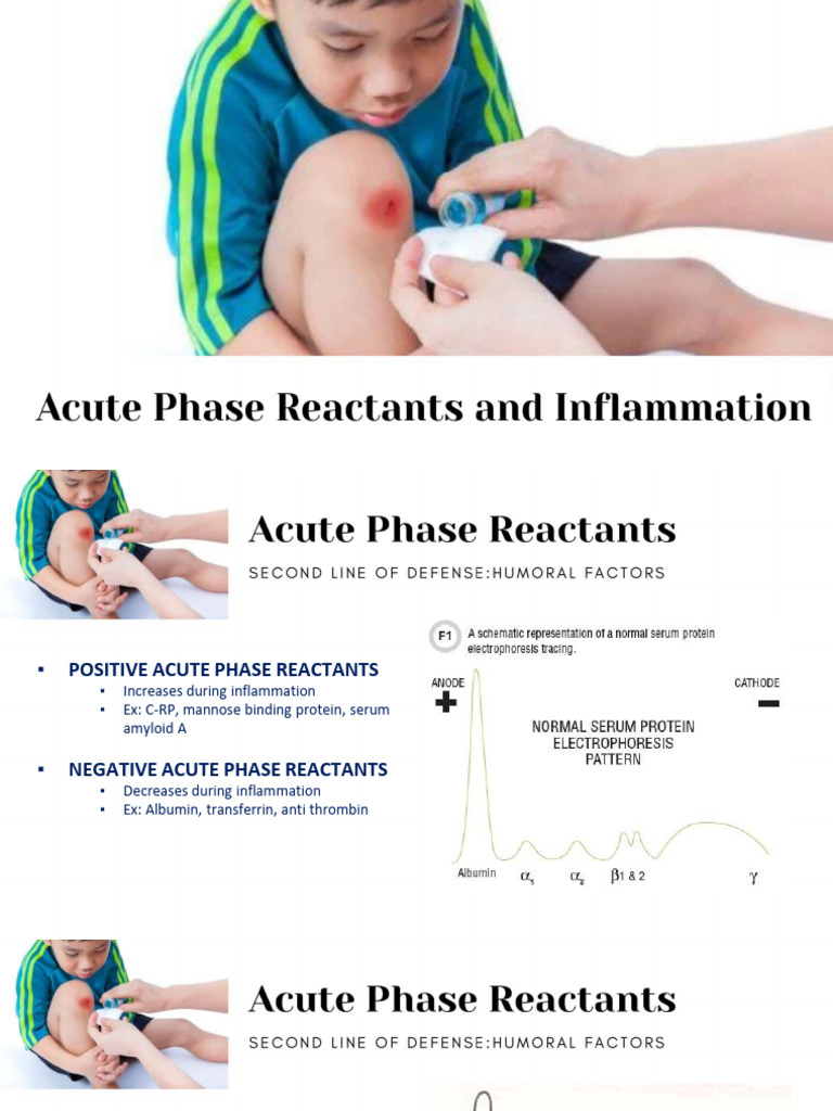 Acute Phase Reactants and Inflammation | PDF | Complement System | Inflammation