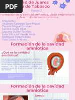 Desarrollo Del Saco Coriónico | PDF | Ciencia y matemáticas
