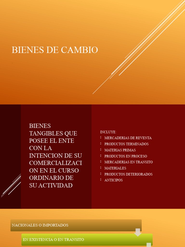 Bienes de Cambio | PDF | Economias | Business