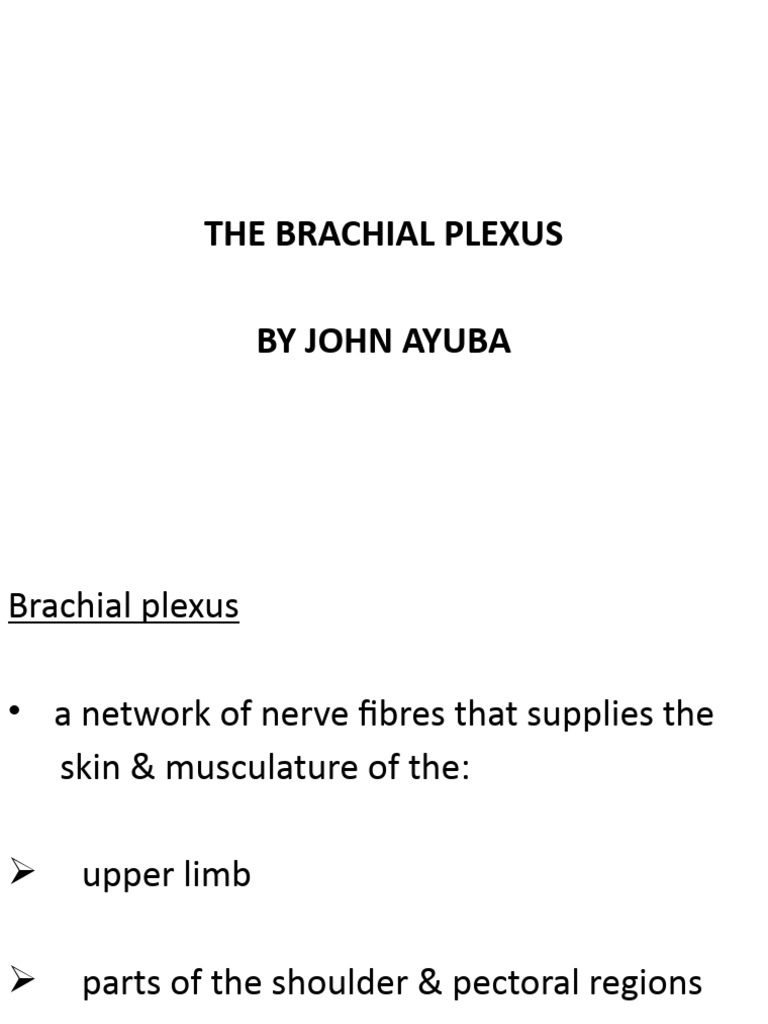 Brachial Plexus Presentation | PDF | Hand | Human Anatomy