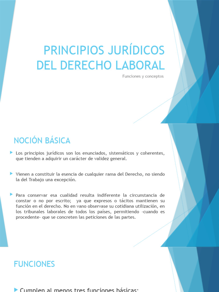 Principios del Derecho Laboral | PDF | Derecho laboral | Gobierno
