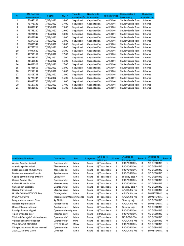 Capacitación en Seguridad Minera | PDF