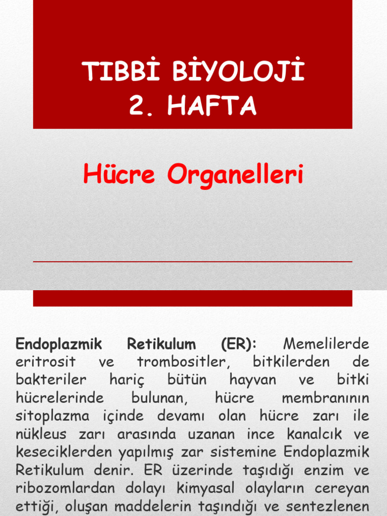 Tıbbi Biyoloji 2. Hafta | PDF