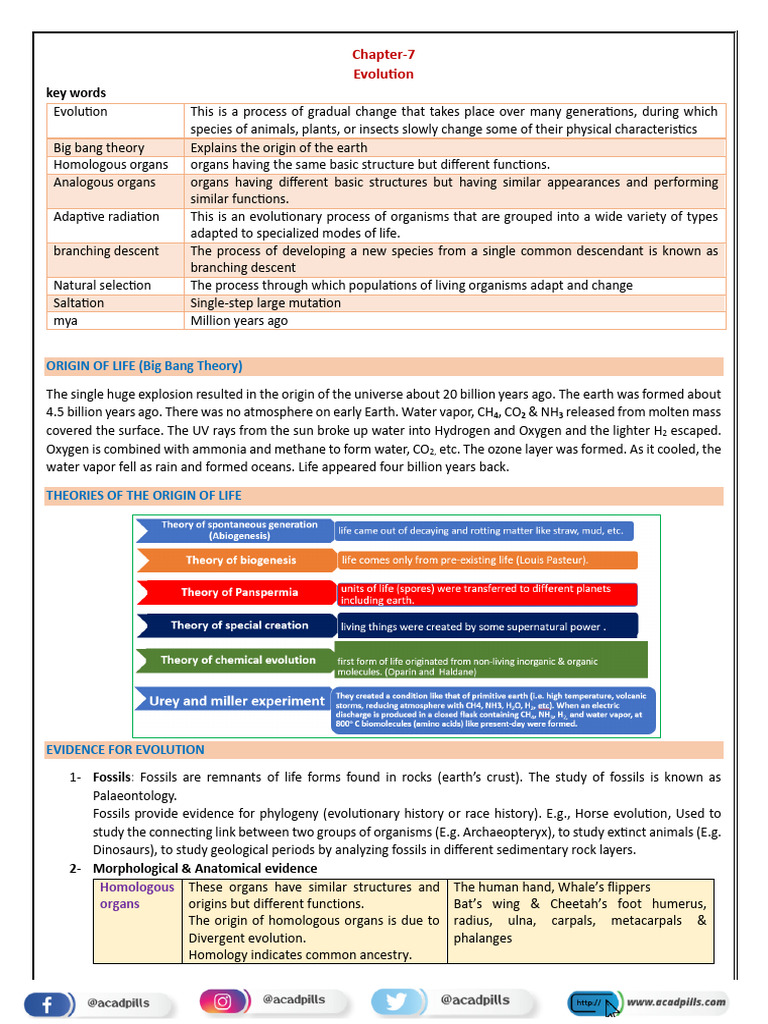 Chapter 7 Evolution | PDF | Natural Selection | Homo
