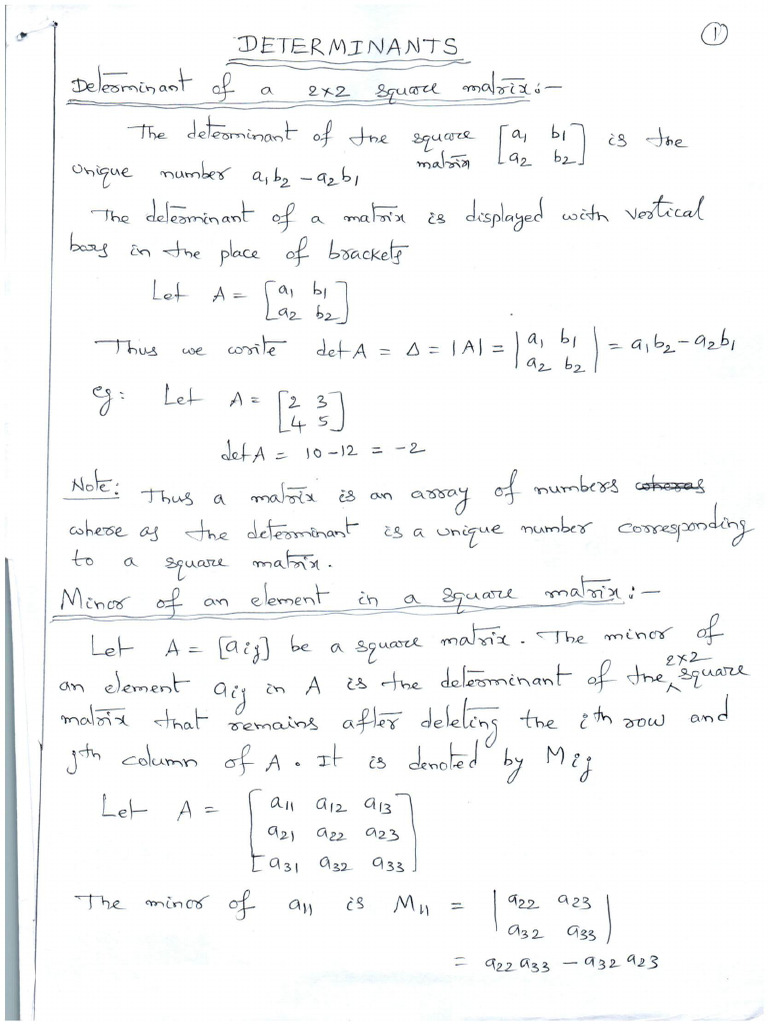 DETERMINANTS | PDF