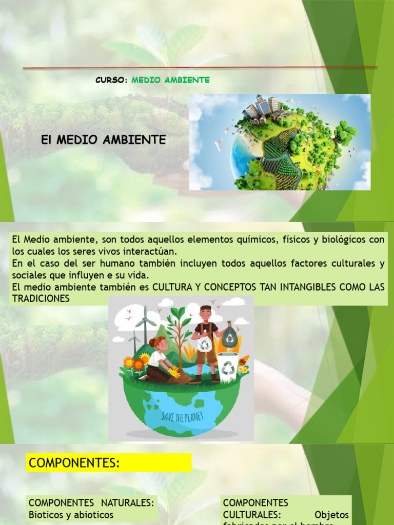Medio Ambiente | PDF | Entorno natural | Sustentabilidad